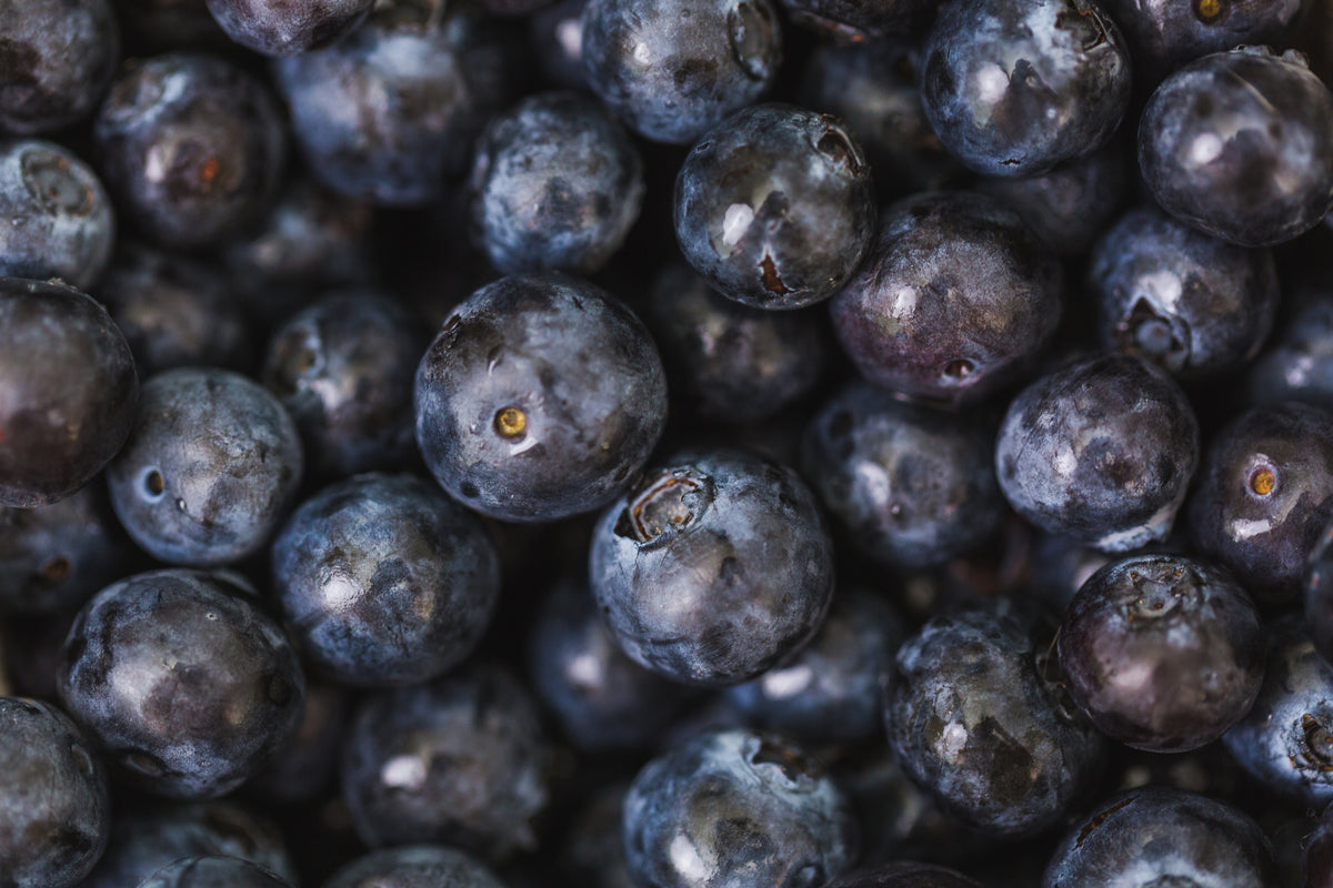 Products – Alpine Blueberries