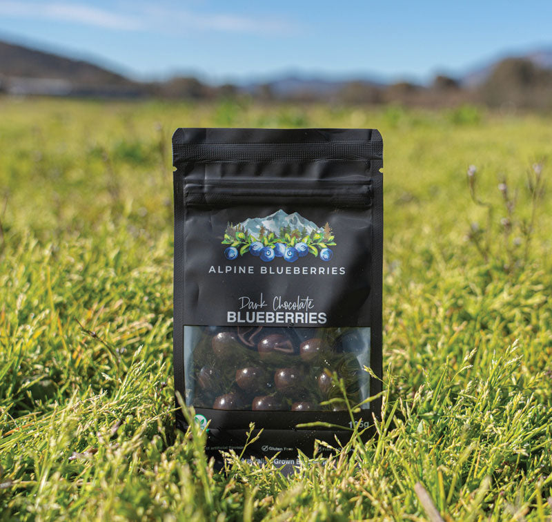 Chocolate Coated Blueberries (Dark) – Alpine Blueberries